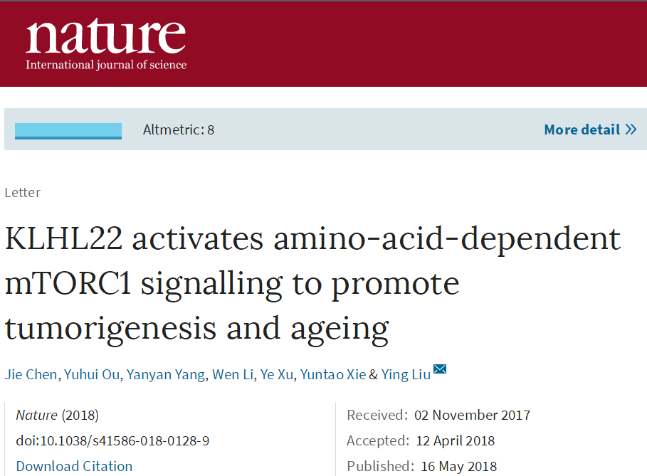 刘颖课题组在《Nature》杂志报道氨基酸依赖的mTOR调控新机制 – SEQ.CN