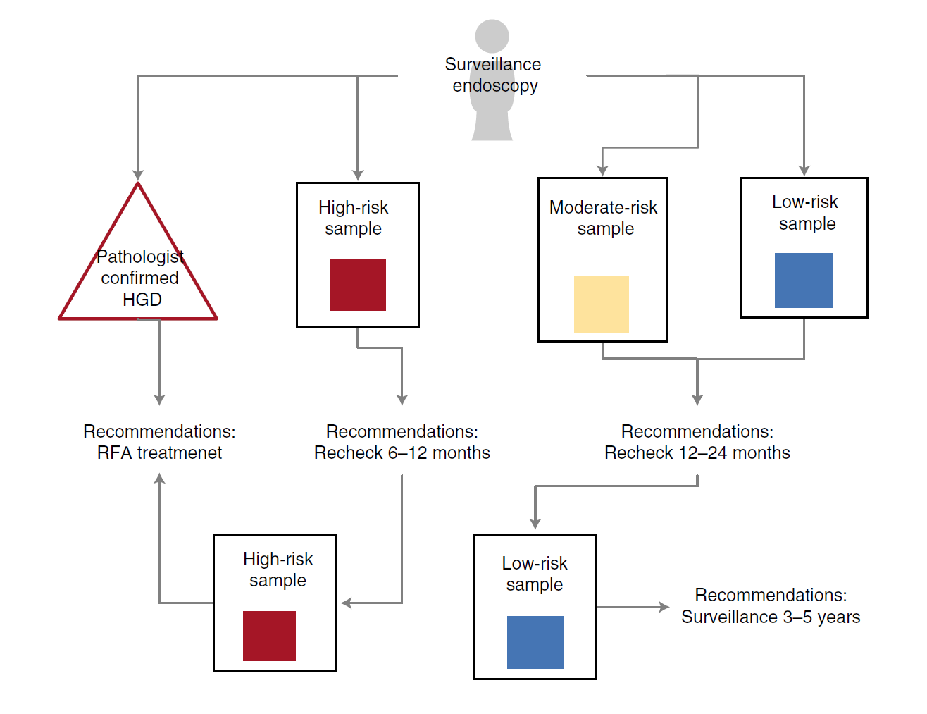 Nat.Med｜随访超15年，以“基因组拷贝数”为标志物可提前数年预测食管癌进展 – SEQ.CN