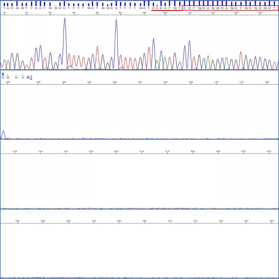 解决基因治疗痛点——AAV-ITR测通+载体稳定构建 – SEQ.CN