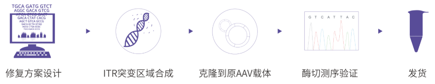 解决基因治疗痛点——AAV-ITR测通+载体稳定构建 – SEQ.CN