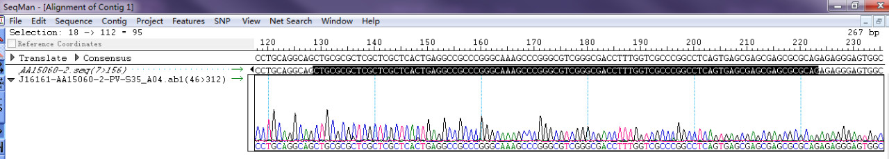 解决基因治疗痛点——AAV-ITR测通+载体稳定构建 – SEQ.CN