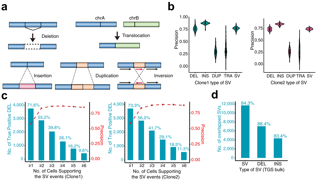 汤富酬团队开发单细胞基因组测序新方法SMOOTH-seq，可精确检测基因组结构变异 – SEQ.CN