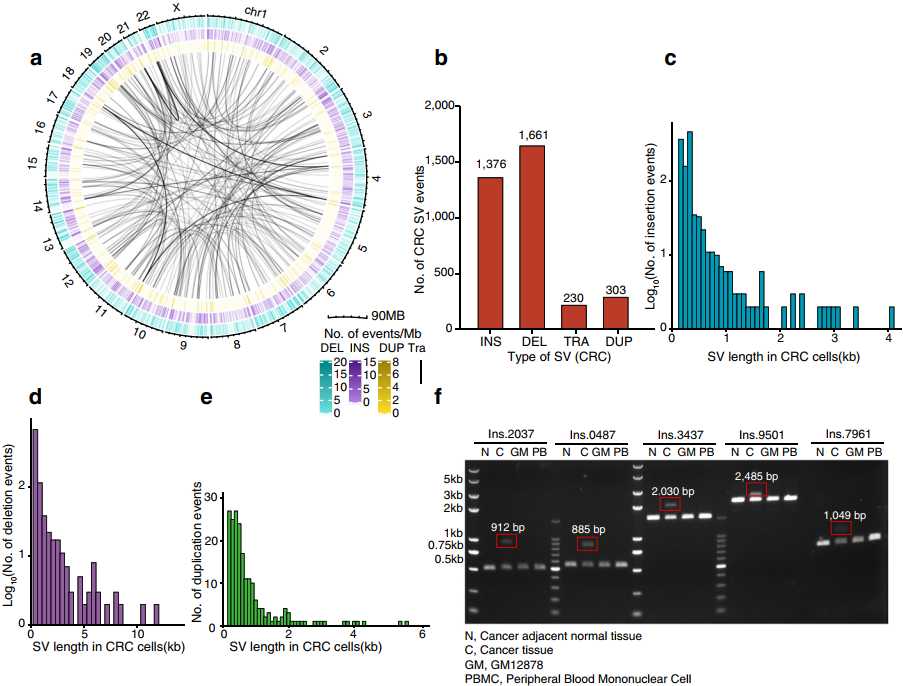 汤富酬团队开发单细胞基因组测序新方法SMOOTH-seq，可精确检测基因组结构变异 – SEQ.CN