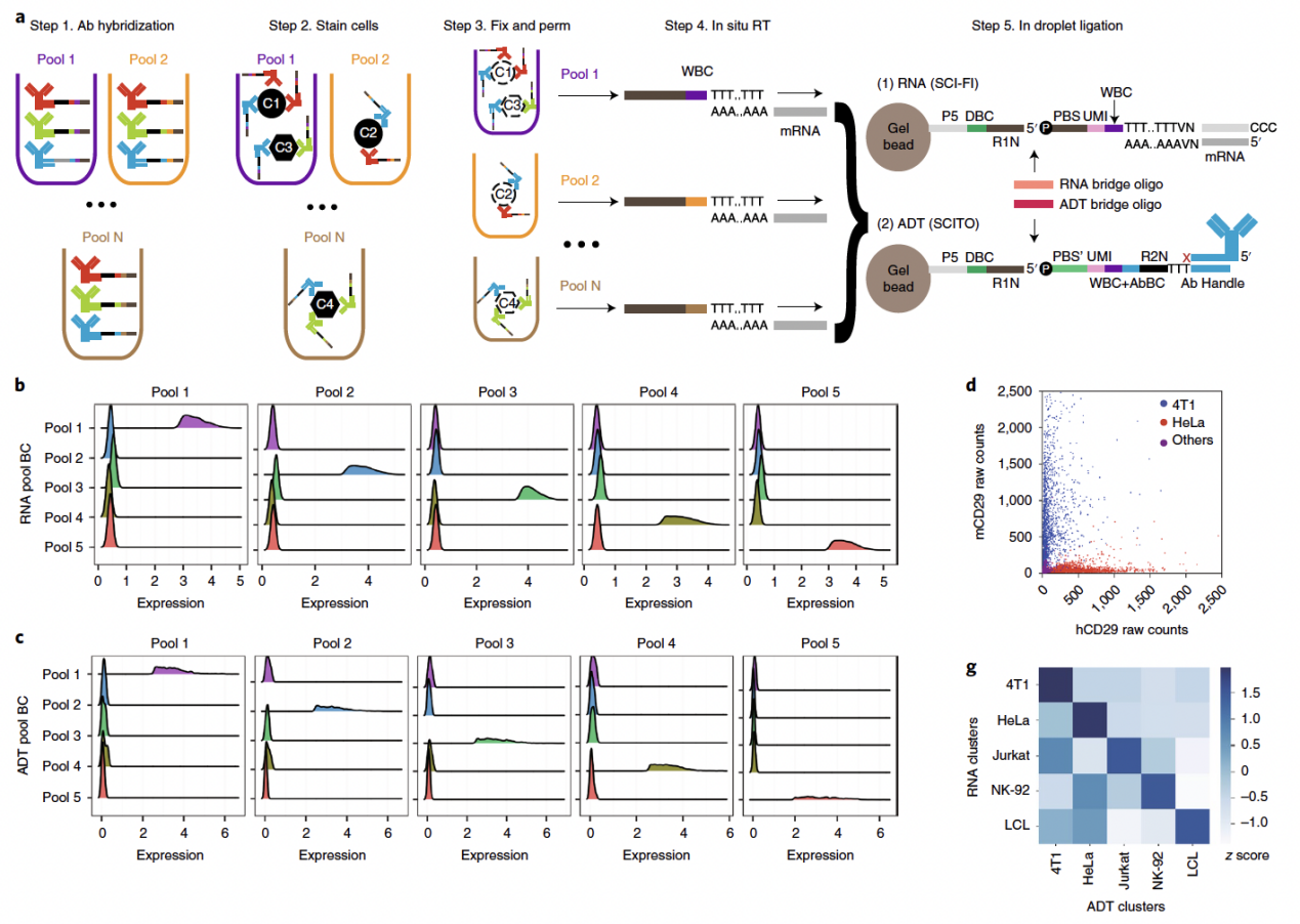 SCITO-seq：用于单细胞蛋白质和多模式分析的超高通量平台 | Nature Methods – SEQ.CN