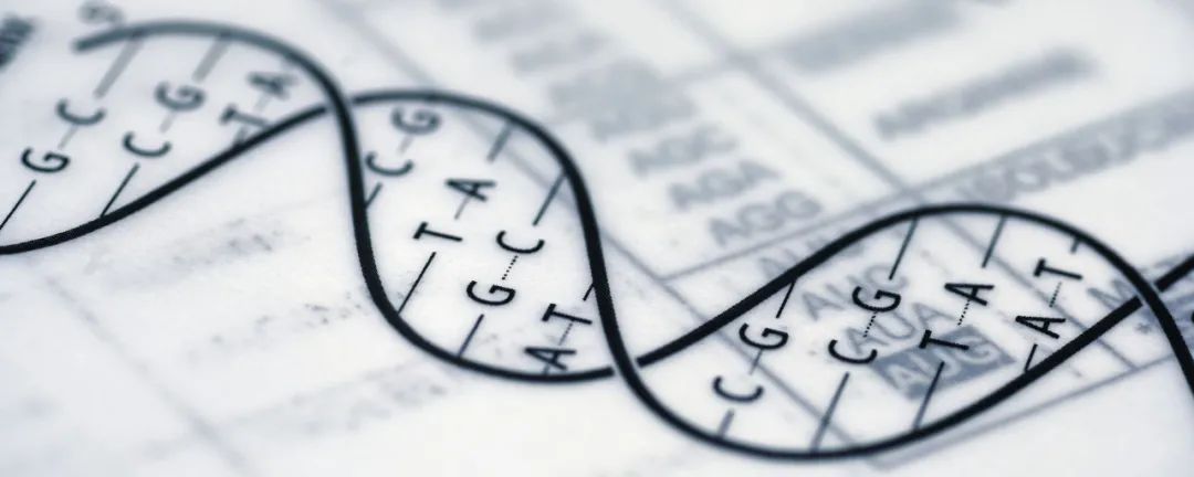Science发布基因组比对革新技术：泛基因组学映射工具Giraffe – SEQ.CN