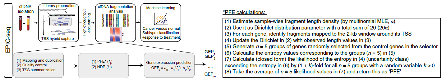 Nature子刊发表里程碑式原创技术｜基于cfDNA片段特征预测RNA表达！降低对肿瘤组织活检的依赖 – SEQ.CN
