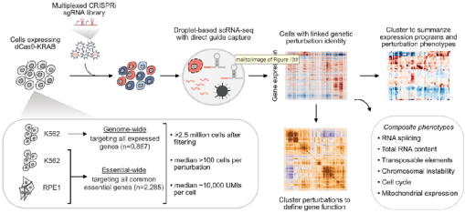 Cell｜基于Perturb-seq技术，绘制首个全基因组范围的人类细胞基因型-表型综合图谱 – SEQ.CN