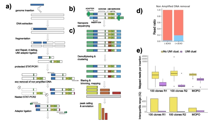 Genome Biology | 稳健、快速、低成本！INSERT-seq方法可对DNA整合特征进行高分辨率定位 – SEQ.CN