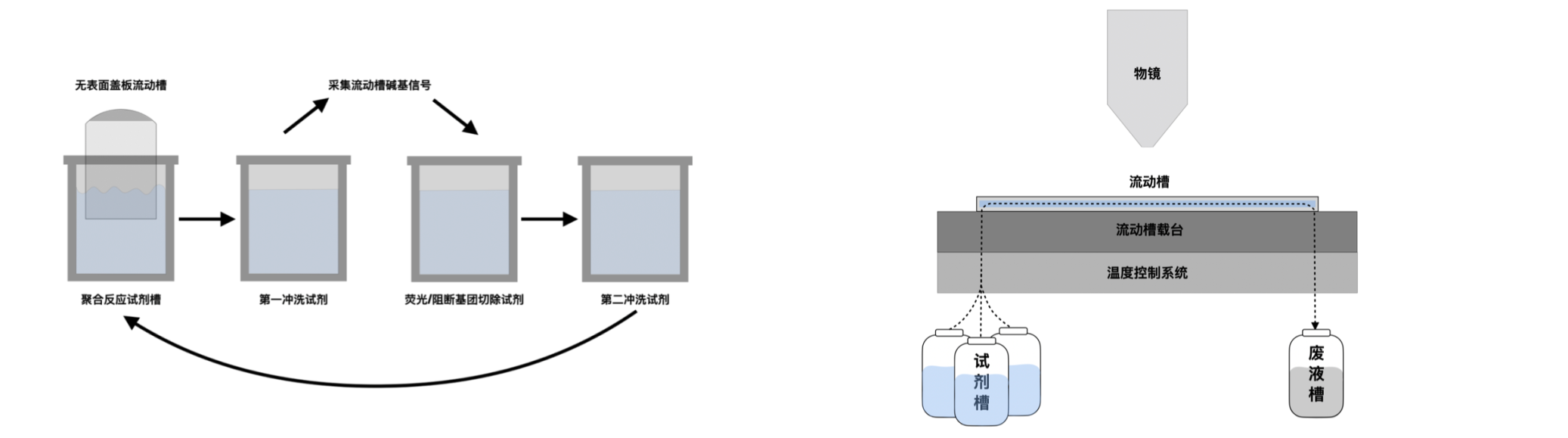专访丨华大智造倪鸣：超高通量测序仪T20是如何炼成的？ – SEQ.CN