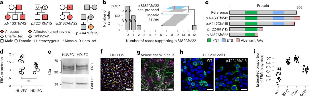 发现3种罕见病的未知遗传病因！Nat Med发表轻量级、灵活的罕见病队列数据库Rareservoir – SEQ.CN