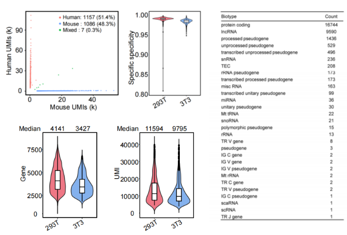登陆Nature Communications-M20 Seq技术实现FFPE样本高性能检测 – SEQ.CN