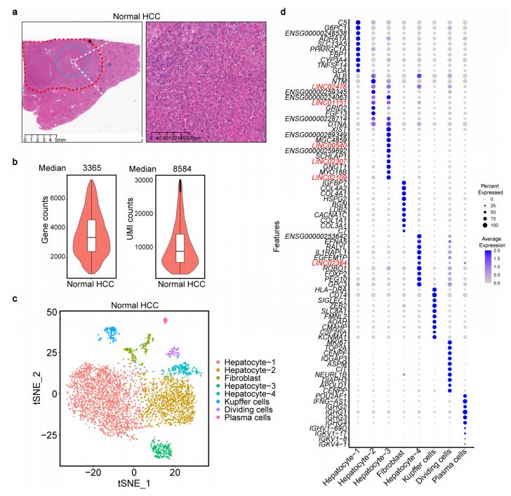 登陆Nature Communications-M20 Seq技术实现FFPE样本高性能检测 – SEQ.CN