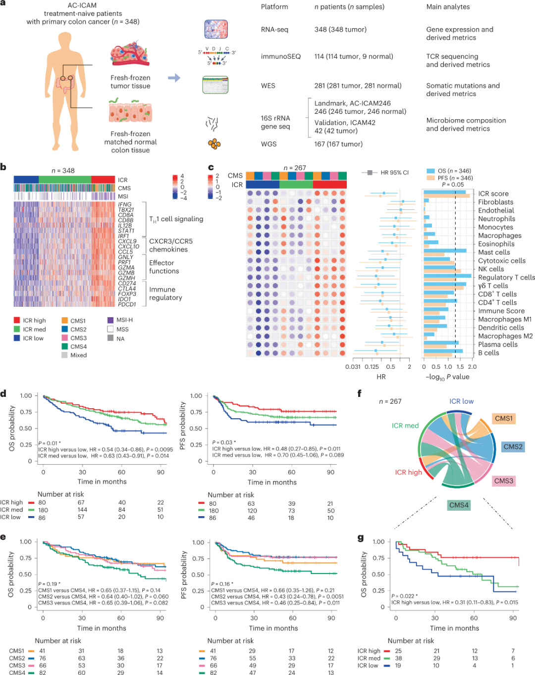 Nat Med | 多组学方法绘制结直肠癌肿瘤、免疫和微生物综合图谱，揭示微生物组与免疫系统的相互作用 – SEQ.CN