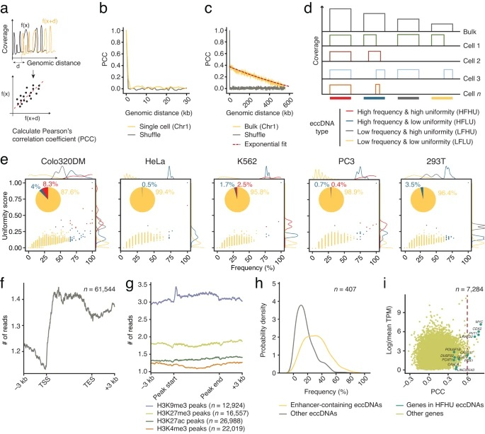 Nat Commun | 单细胞水平检测染色体外环状DNA多样性及复杂性的新工具scCircle-seq – SEQ.CN