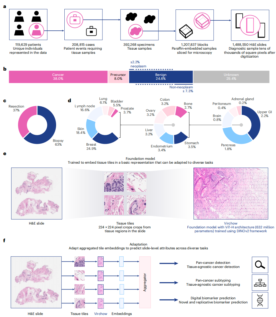 Nat Med | Paige、微软携手发表迄今最大的计算病理学基础模型Virchow，为AI癌症病理学树立新标杆 – SEQ.CN
