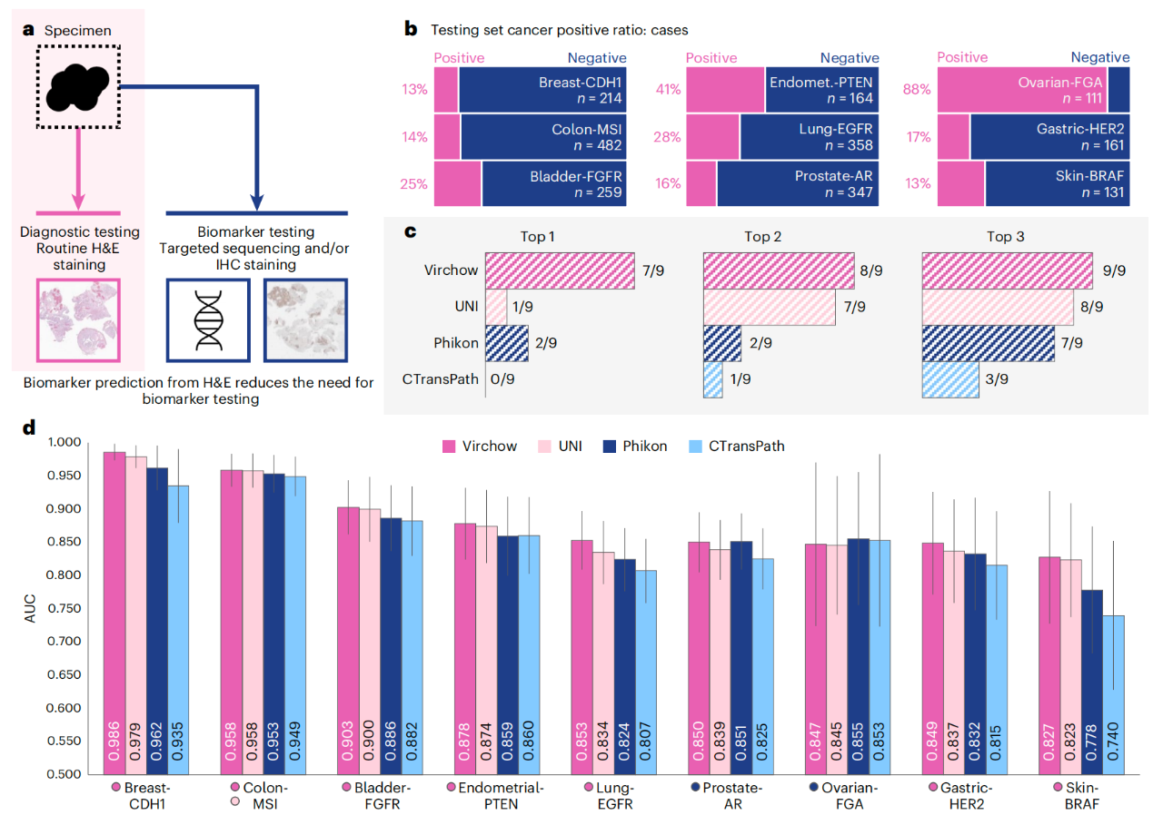 Nat Med | Paige、微软携手发表迄今最大的计算病理学基础模型Virchow，为AI癌症病理学树立新标杆 – SEQ.CN