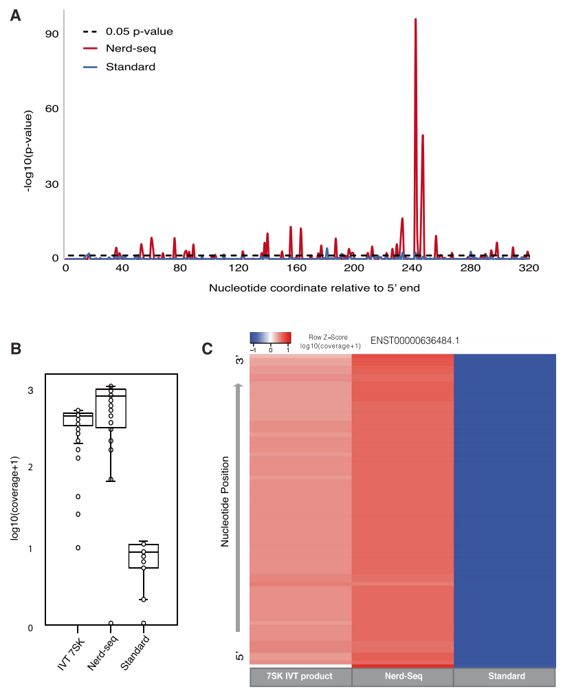 Genome Biol | 突破传统直接RNA测序局限！新方法可同时检测多类ncRNA和mRNA – SEQ.CN