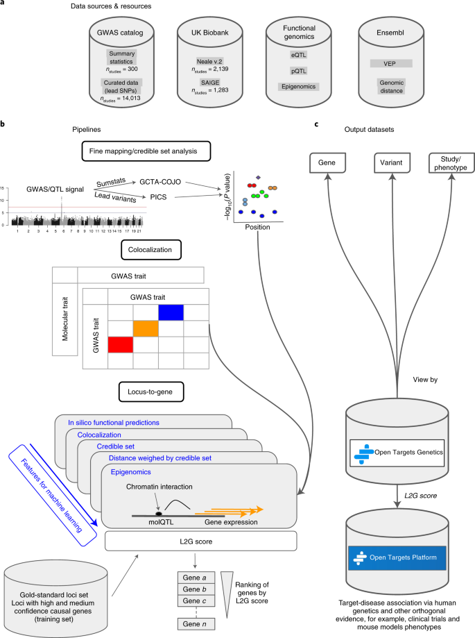 Nature子刊发布新型分析框架Open Targets Genetics，助力揭示GWAS性状相关基因-疾病-表型关联 – SEQ.CN