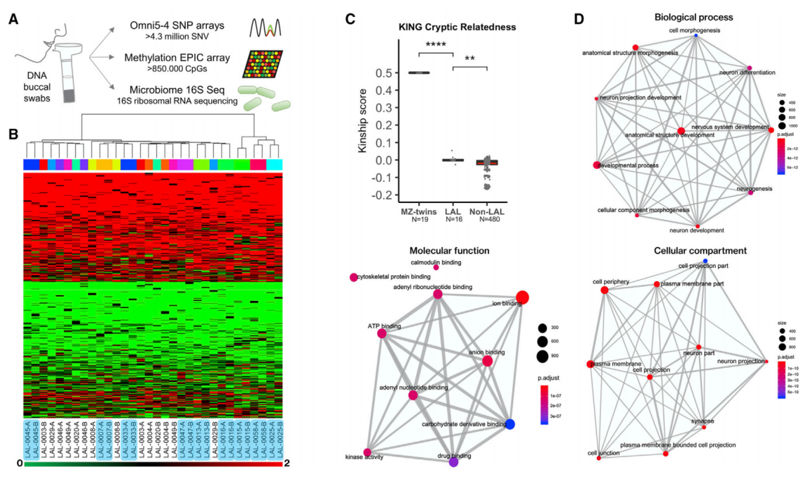 Cell Reports | 世界上另一个你？长相相似、没有血缘的两个人可能基因型也相似！ – SEQ.CN