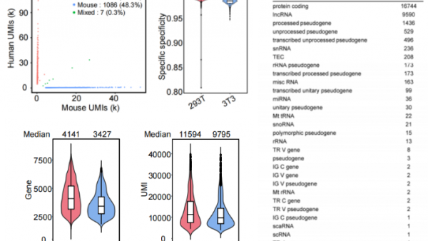 2023051704333591 – SEQ.CN
