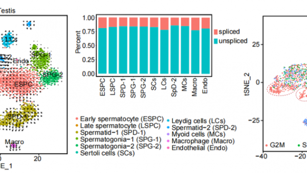 2023051704341111 – SEQ.CN