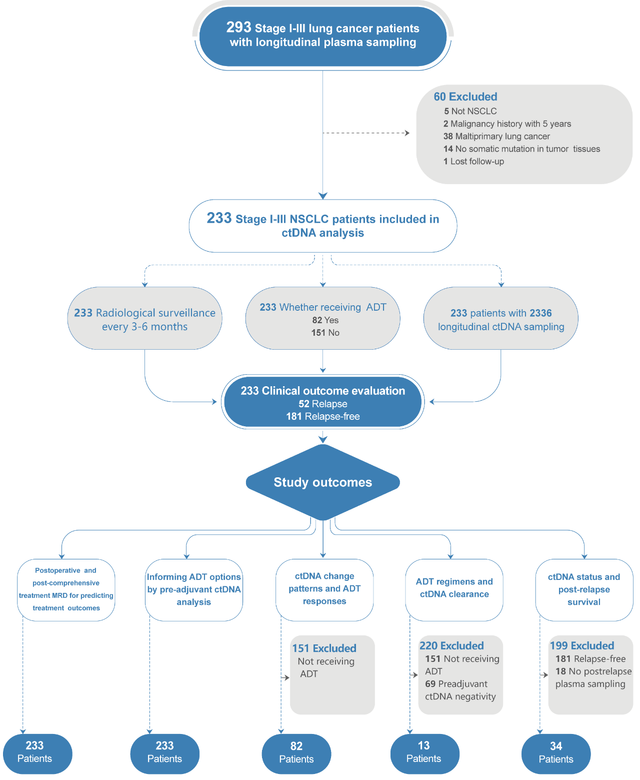 2025071416194881 – SEQ.CN